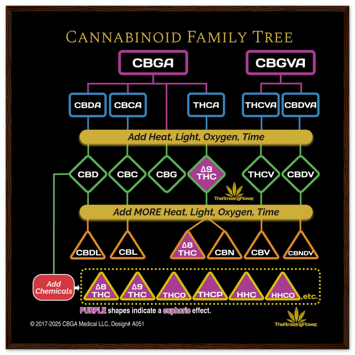 Framed Cannabinoid Family Tree Poster – TheAmazingFlower.com, CBGA ...