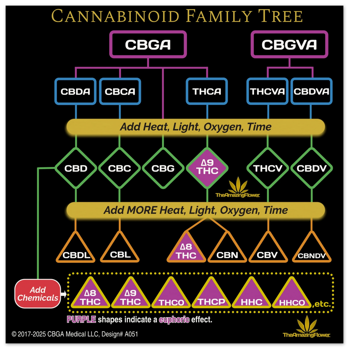 Cannabinoid Family Tree Poster 2025 – TheAmazingFlower.com, CBGA ...
