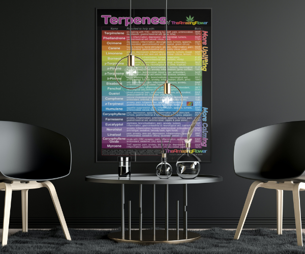 Cannabis Terpenes Poster (color-coded) – TheAmazingFlower.com, CBGA ...